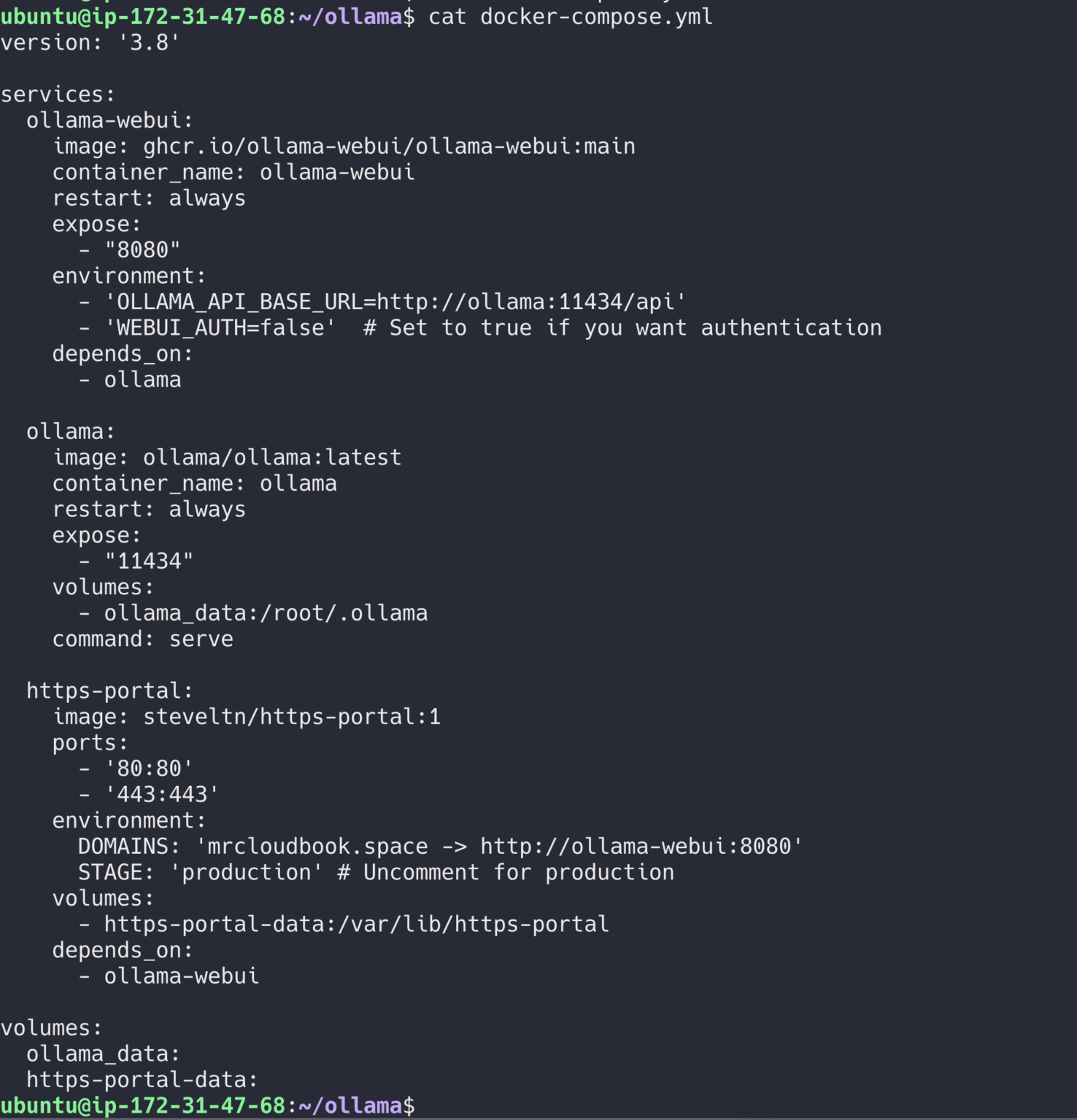How to install Ollama on Ubuntu 24.04 | Docker compose - Mr Cloud Book
